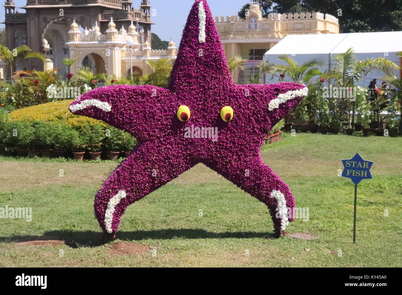 Mysore palace and flower garden hi-res stock photography and images - Alamy
