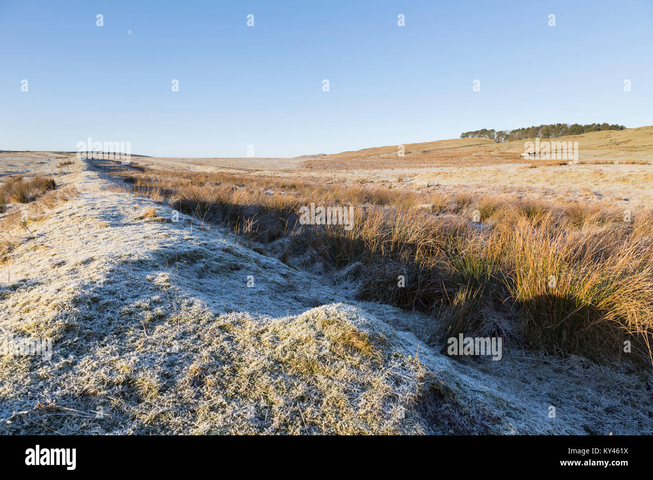 Hadrian's Wall: the view along the south bank of the Vallum near ...