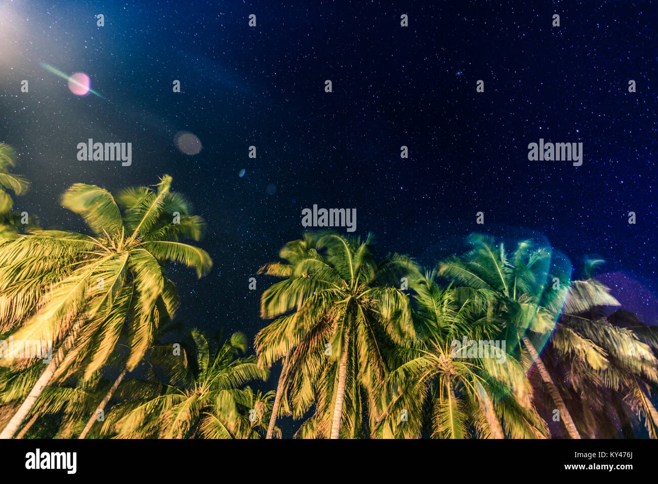 Jungle starry night hi-res stock photography and images - Alamy