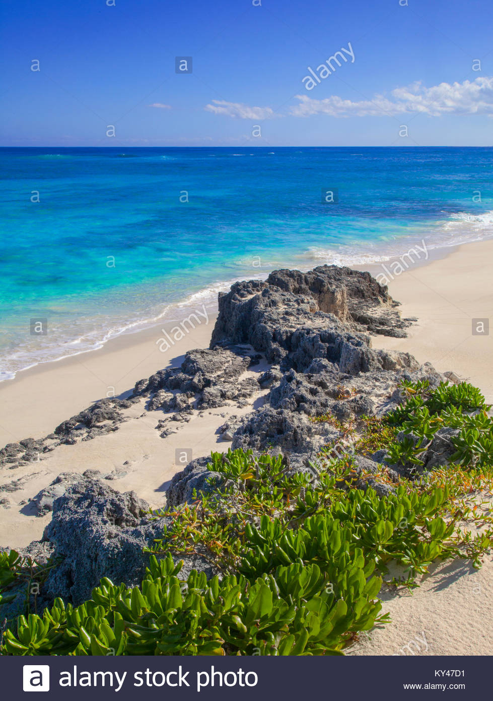 Elbow Cay Bahamas High Resolution Stock Photography and Images - Alamy