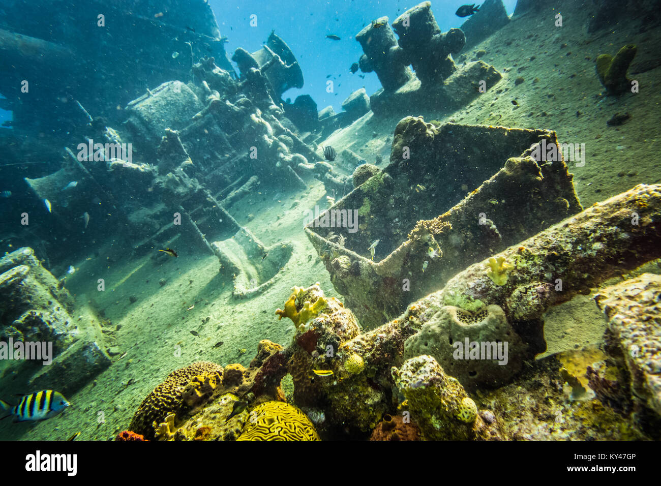 View shipwreck underwater depth hi-res stock photography and images - Alamy