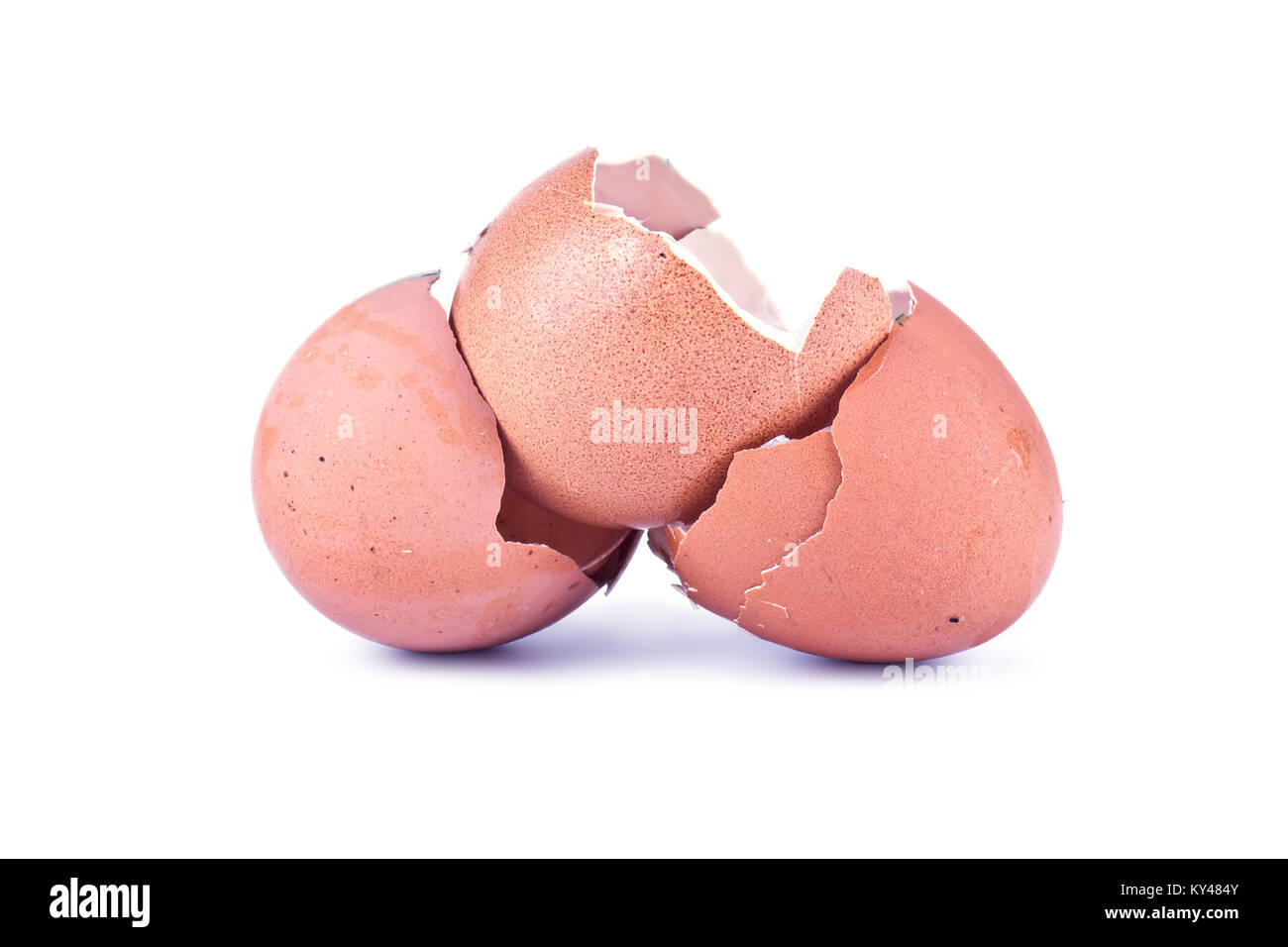 Membranechicken Cut Out Stock Images & Pictures - Alamy