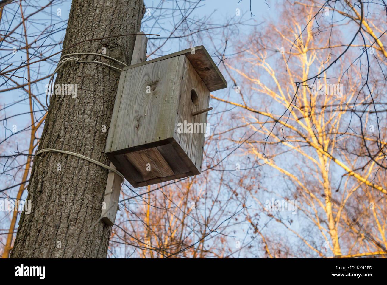 An empty wooden birdhouse in a winter park. Frost and trees without ...