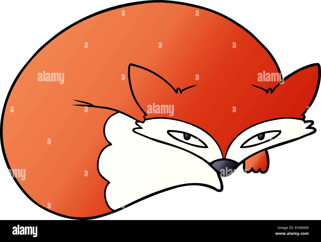 cartoon curled up fox Stock Vector Image & Art - Alamy