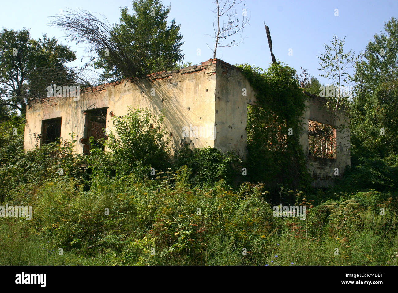 Croatian independence 1991 hi-res stock photography and images - Alamy