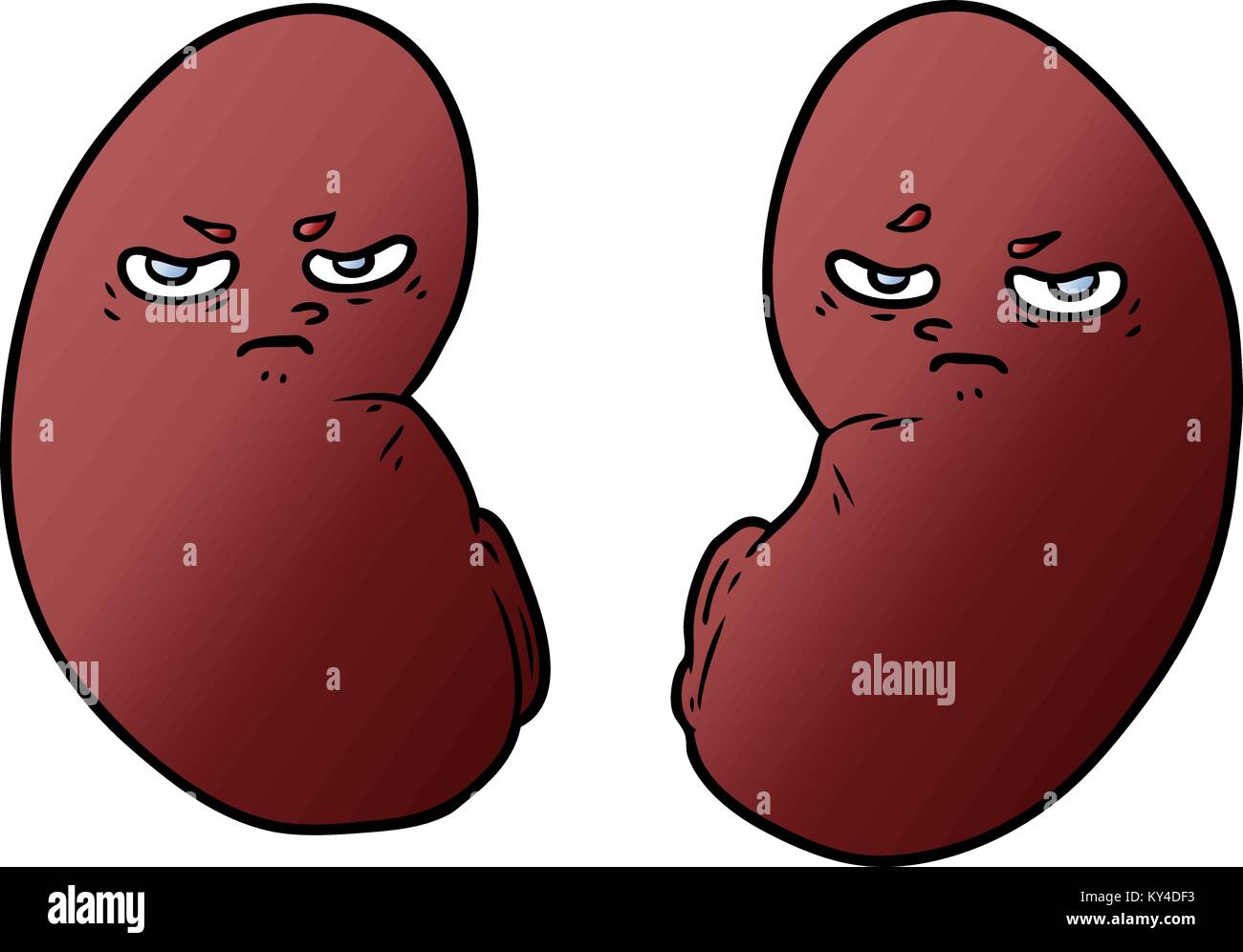 cartoon irritated kidneys Stock Vector Image & Art - Alamy