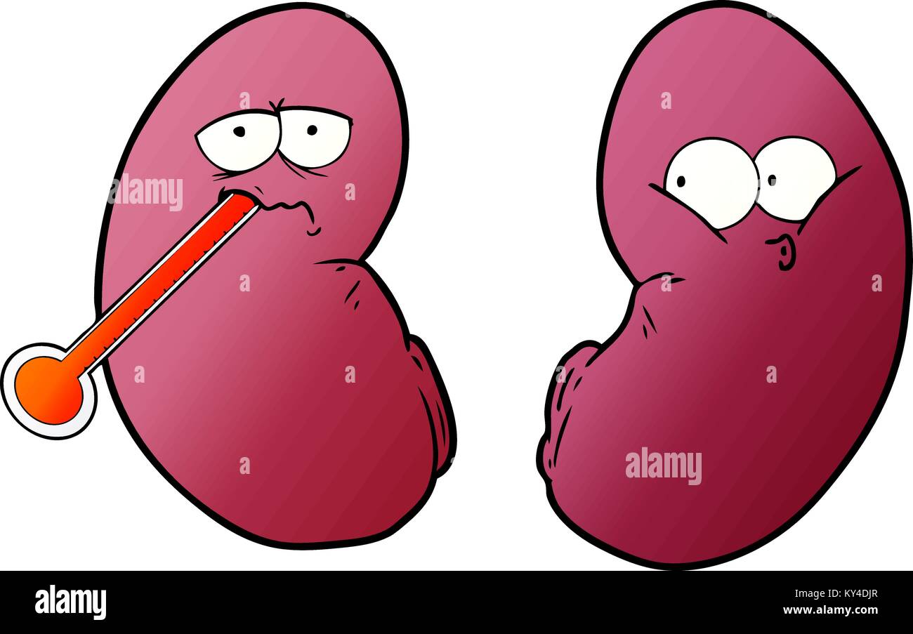 cartoon unhealthy kidney Stock Vector Image & Art - Alamy