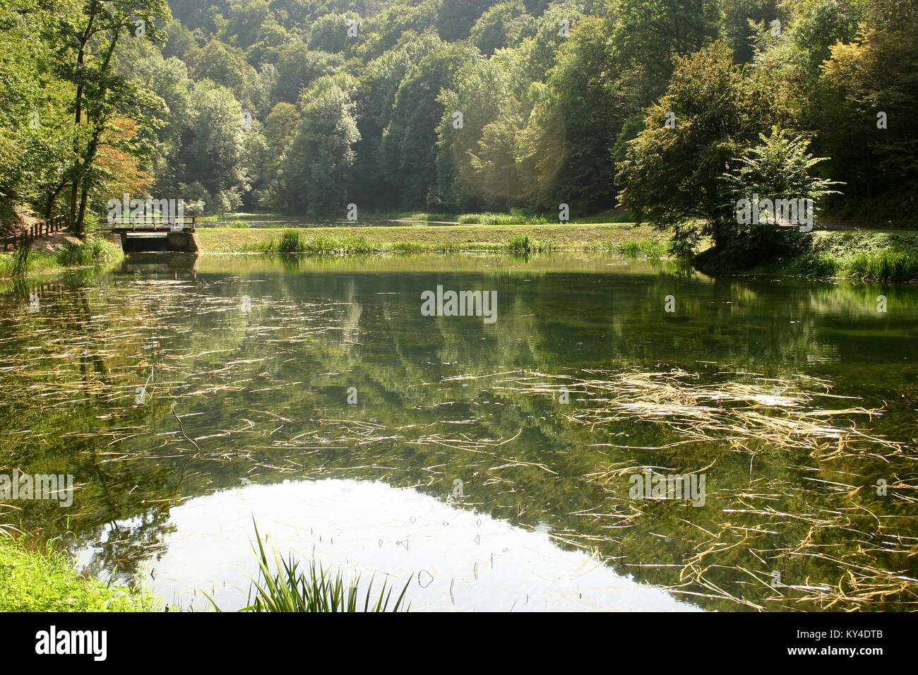 Trail around lake in Papuk Nature Park, Croatia Stock Photo - Alamy