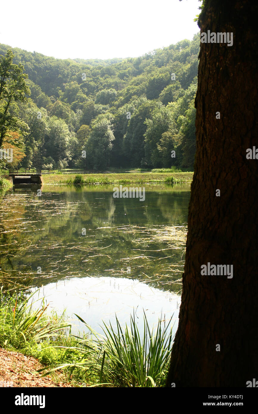 Trail around lake in Papuk Nature Park, Croatia Stock Photo - Alamy