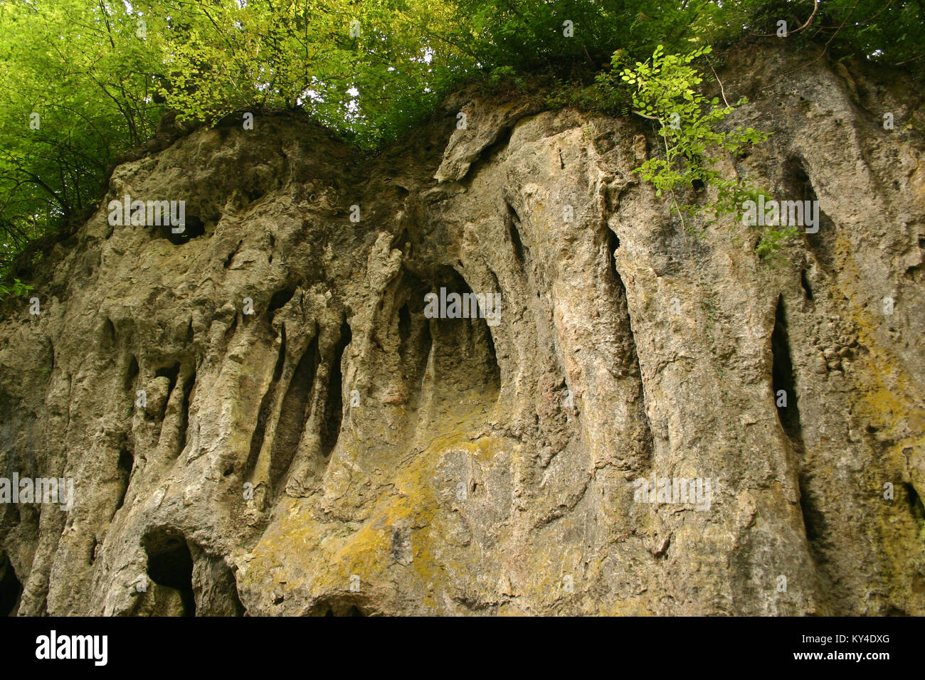 Papuk nature park hi-res stock photography and images - Alamy