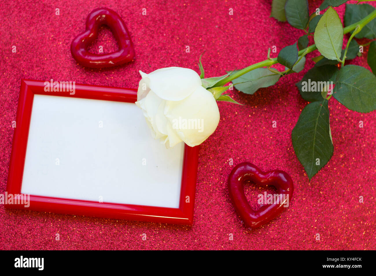 Valentine's concept with a white rose Stock Photo - Alamy
