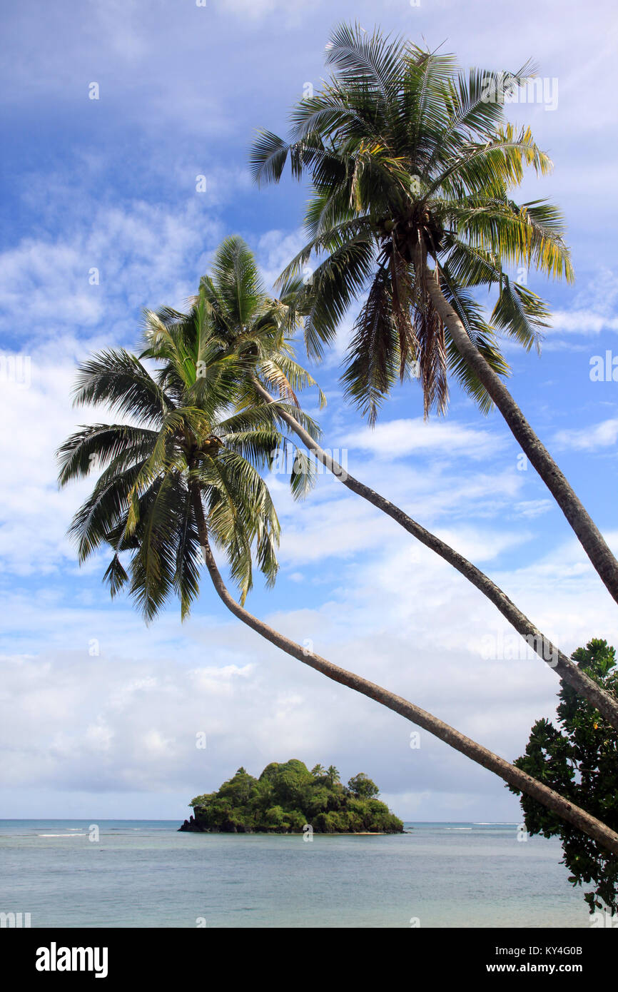 Small island, palm trees and blue sky in Upolu, Samoa Stock Photo - Alamy