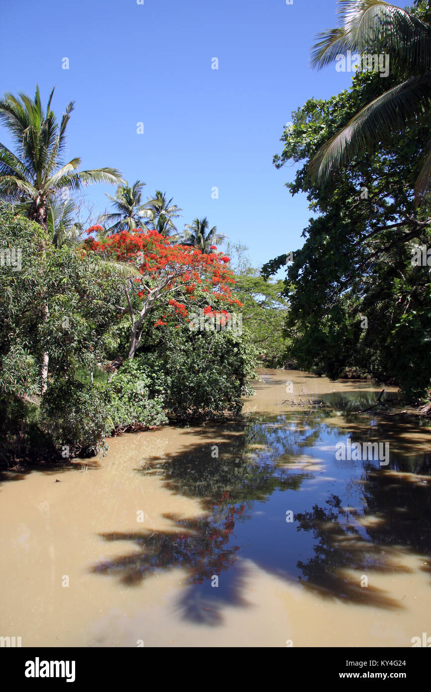 Fiji rainforest hi-res stock photography and images - Alamy