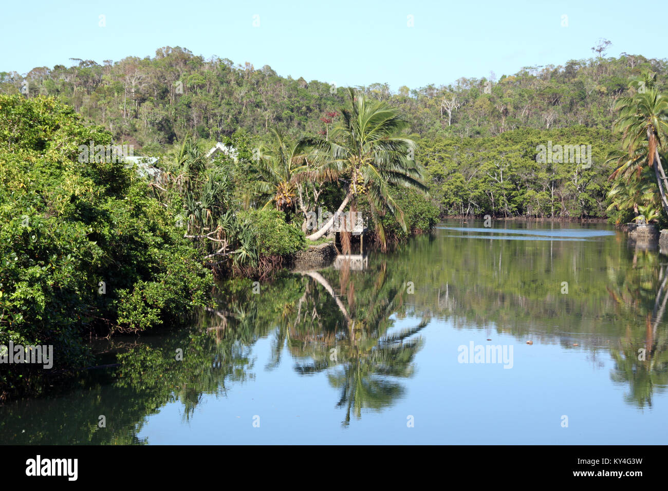 Fiji Rainforest Stock Photos & Fiji Rainforest Stock Images - Alamy