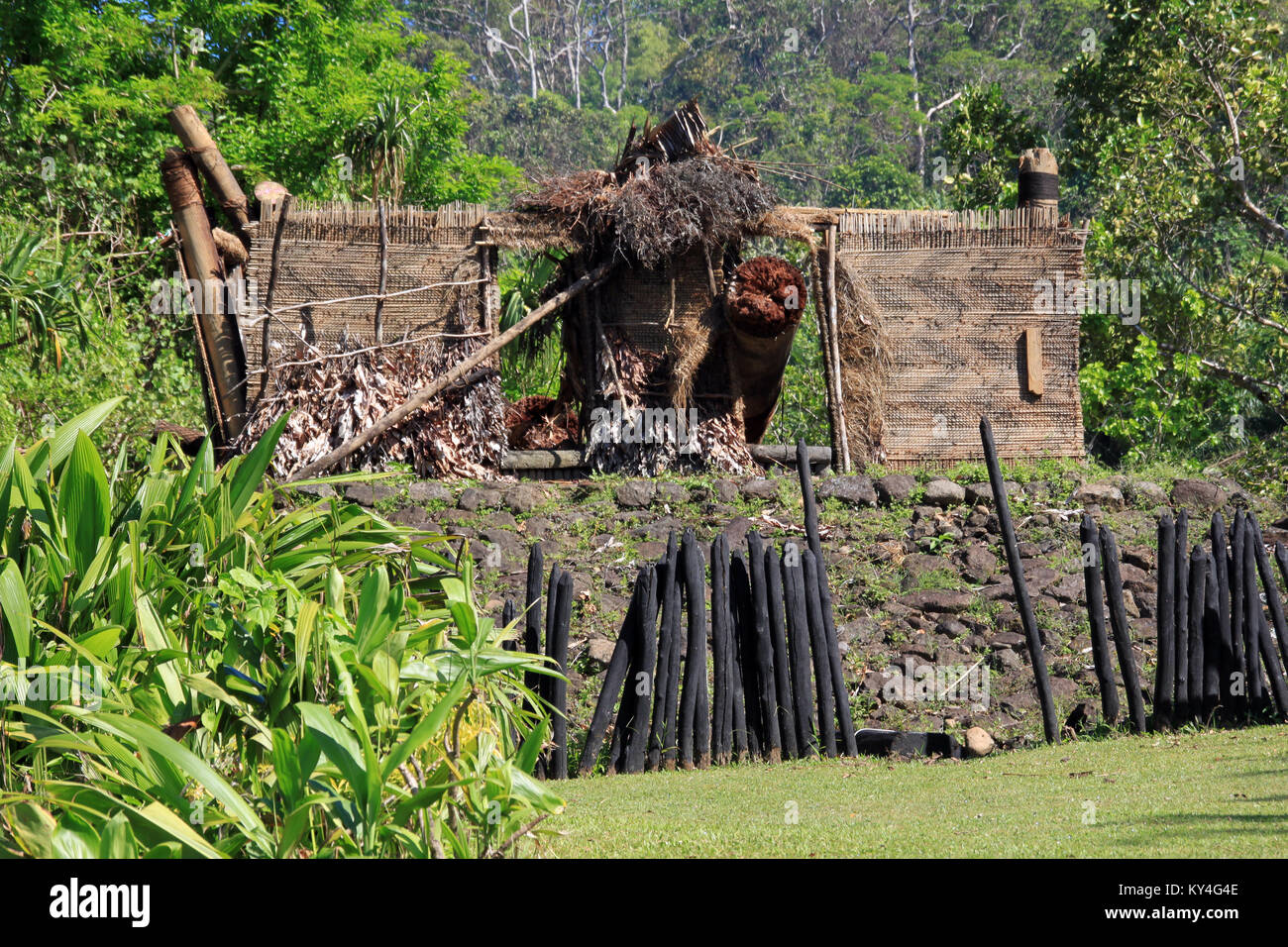 Old traditional fortress in the forest, Fiji Stock Photo - Alamy