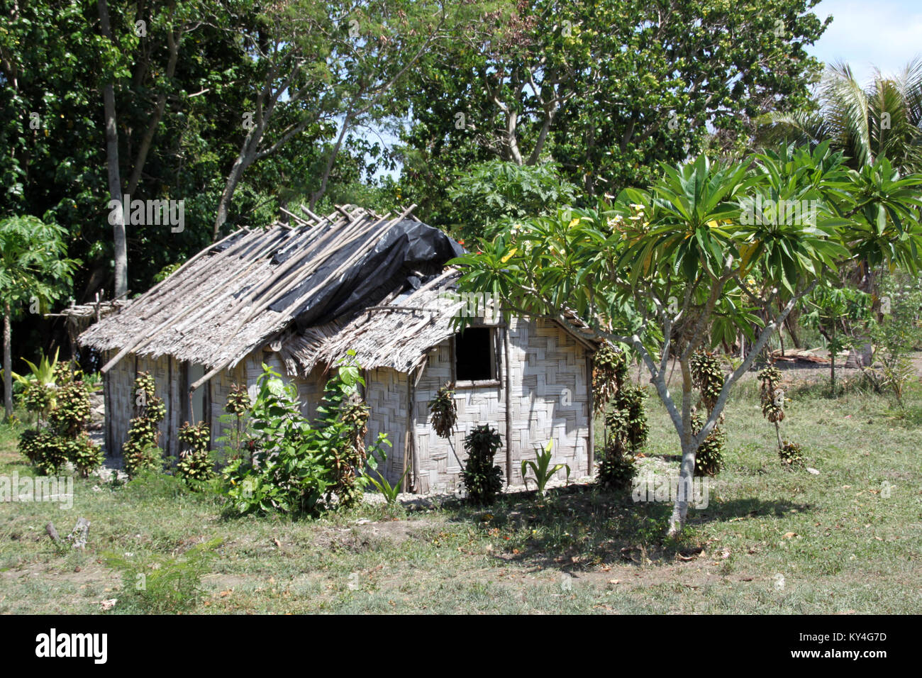 Hut and trees near the forest in Efate island, Vanuatu Stock Photo - Alamy