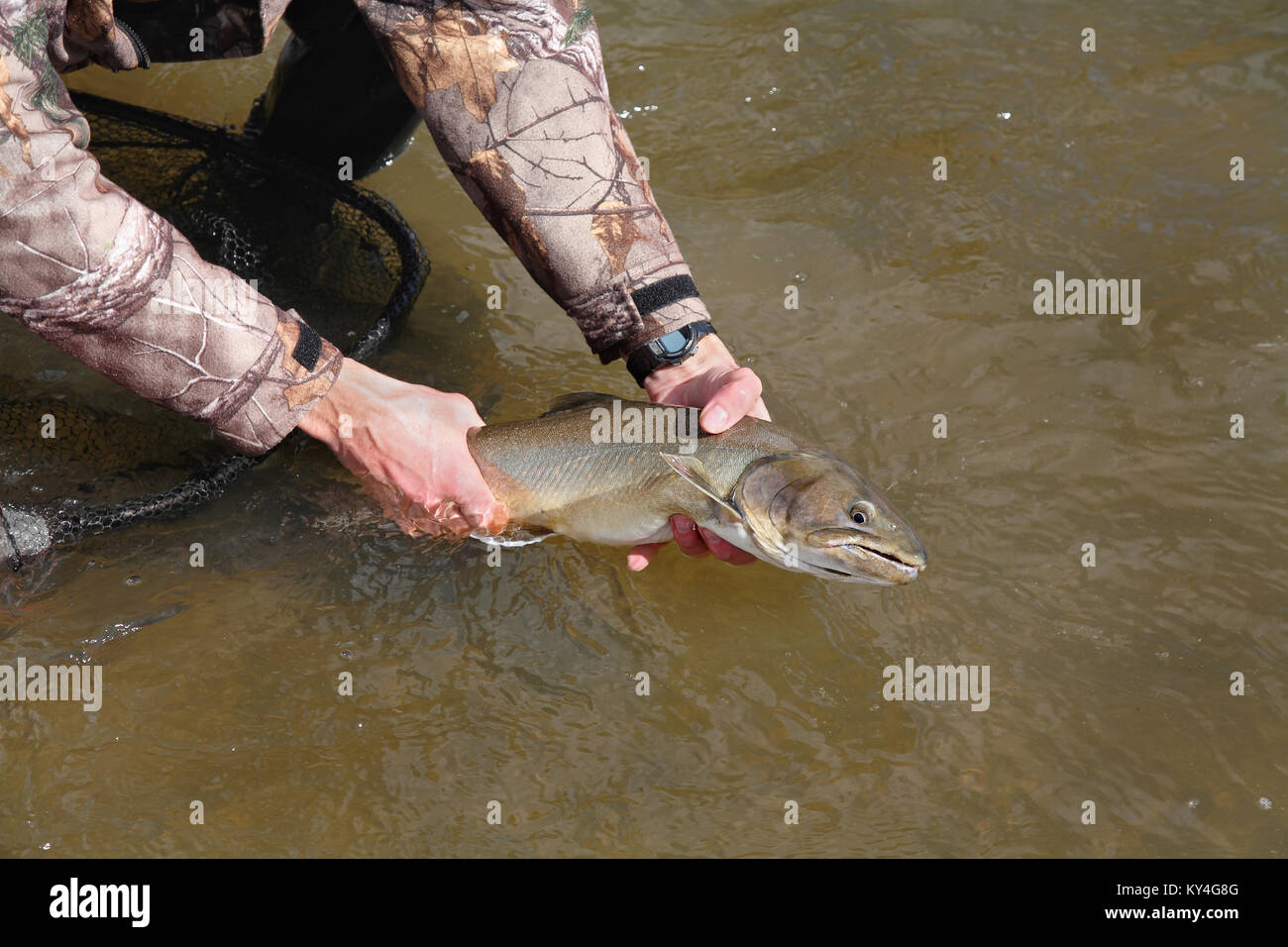 Fisherman releasing fish hi-res stock photography and images - Alamy