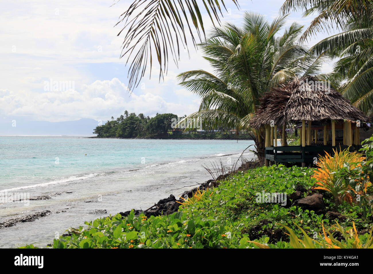 Hut, green grass and palm trees on the beach in Samoa Stock Photo - Alamy