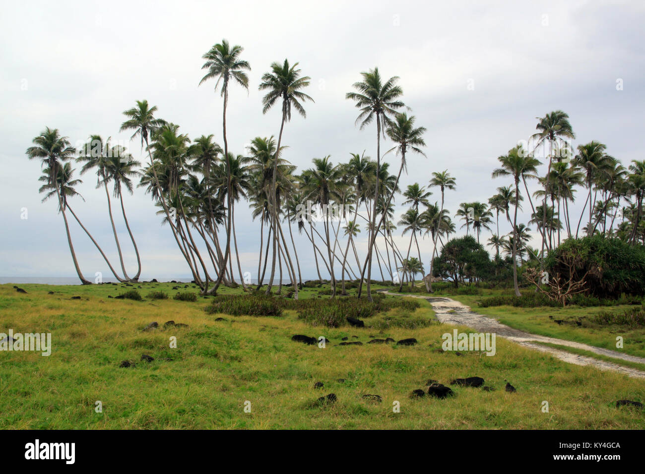 Tourism in samoa hi-res stock photography and images - Alamy