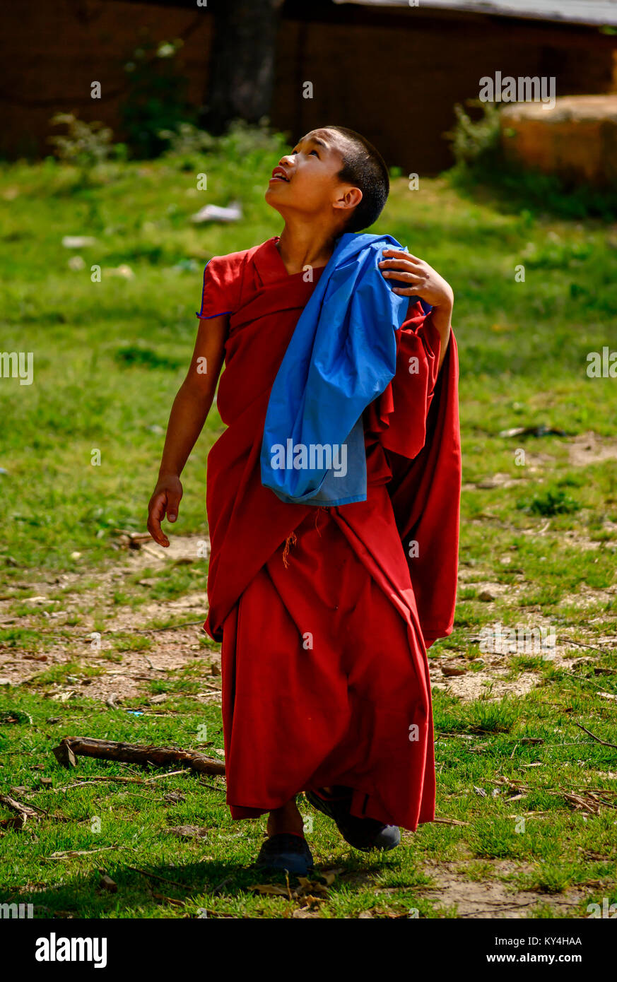 Gyuto monastery, dharamsala hi-res stock photography and images - Alamy