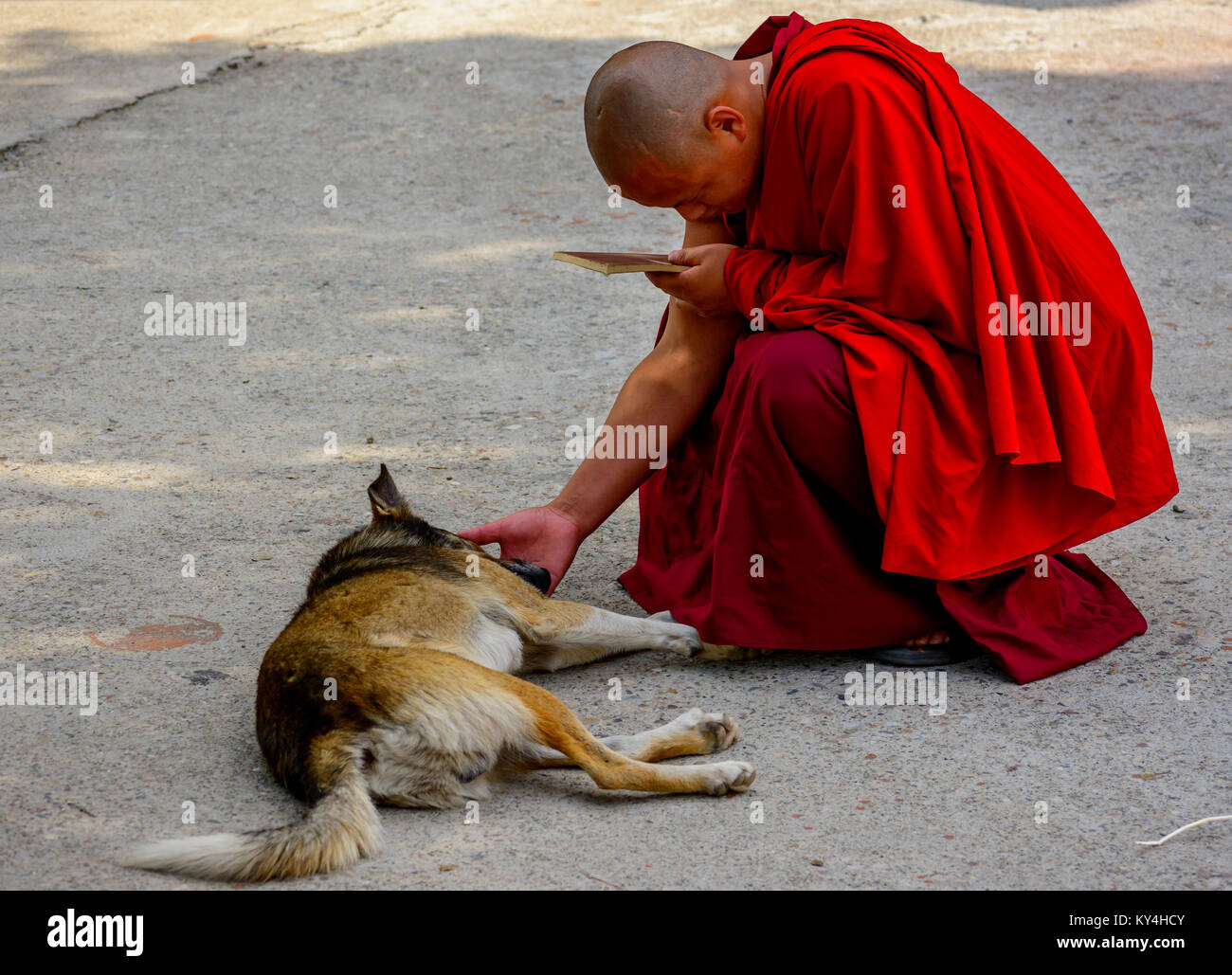 Tibetan monks monastery gompa tibetan hi-res stock photography and ...
