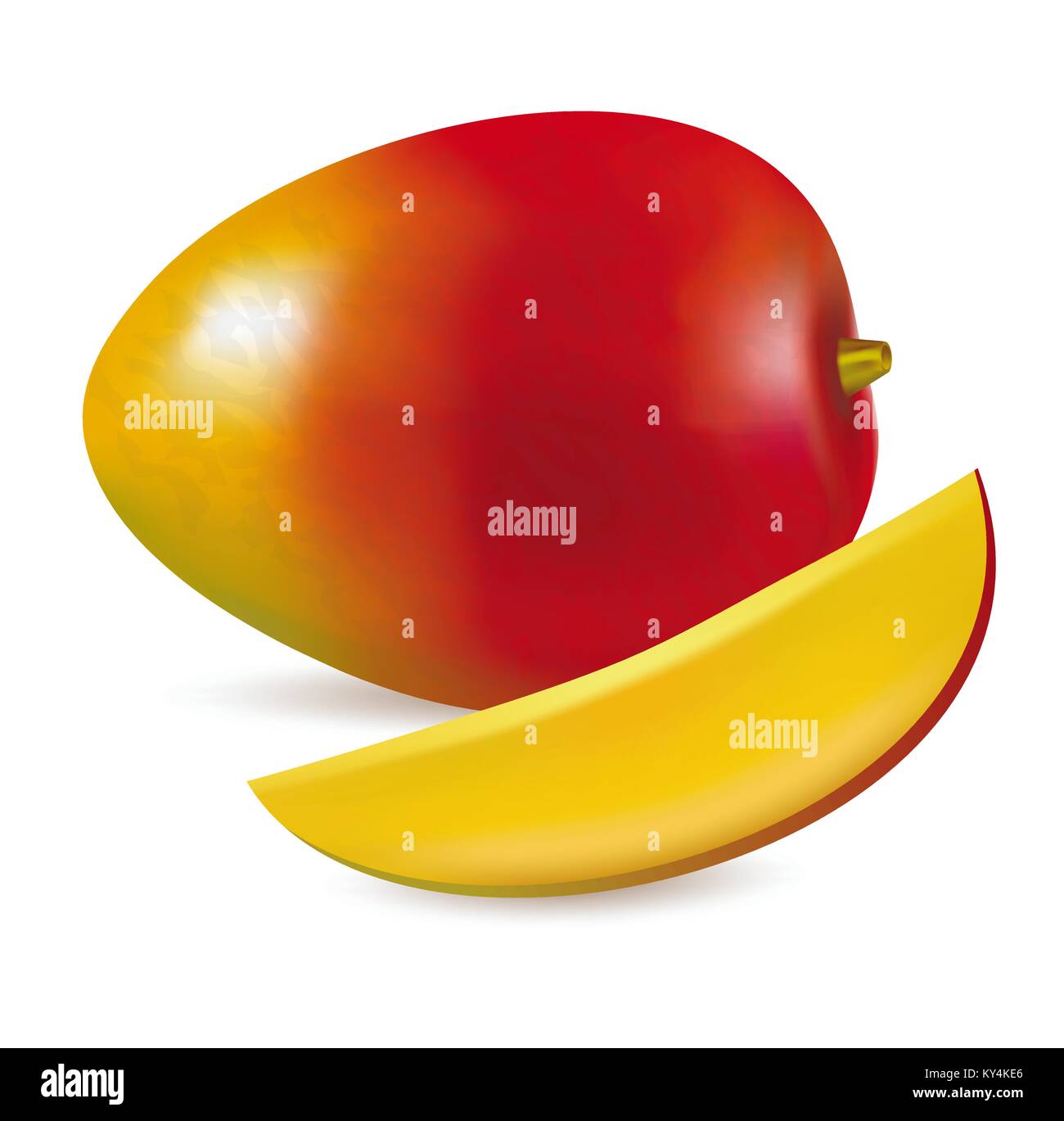 Vector illustration of Ripe fresh mango with slice Stock Vector Image ...