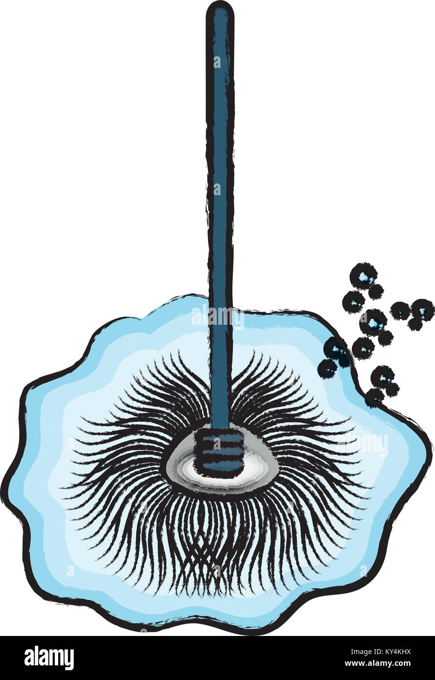 wet mop icon image Stock Vector Image & Art - Alamy