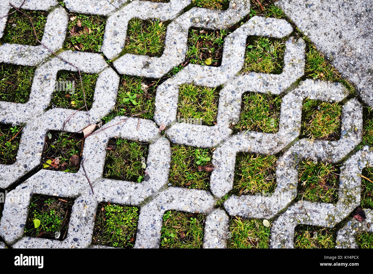 Grass pattern framed Stock Photo - Alamy
