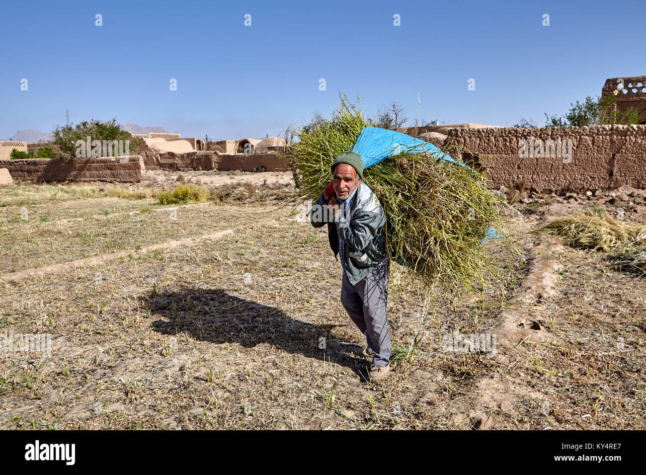 Yazd, Iran - April 23, 2017: Elderly man carrying an enormous bundle of ...