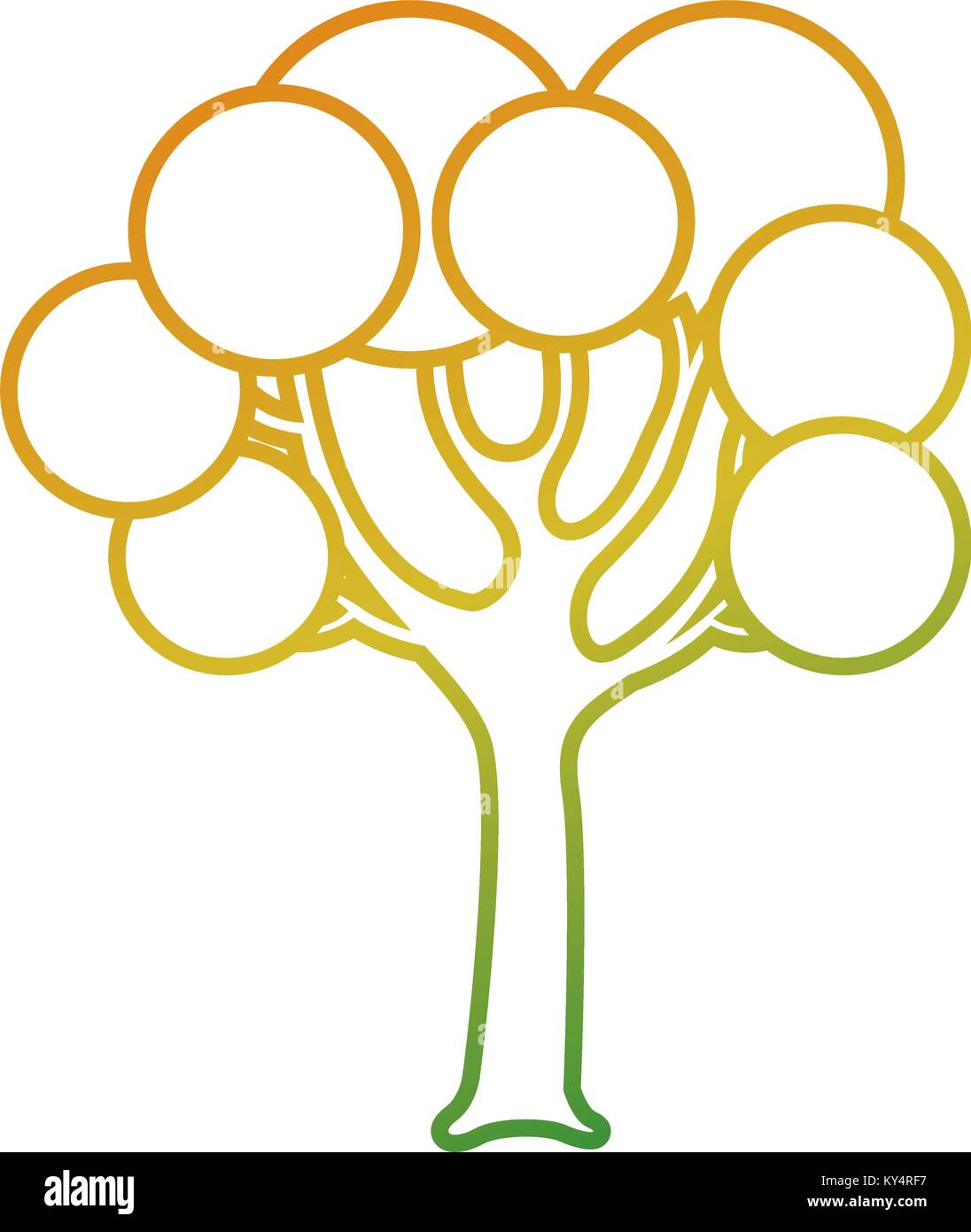 tree with round shapes branches trunk vector illustration Stock Vector ...