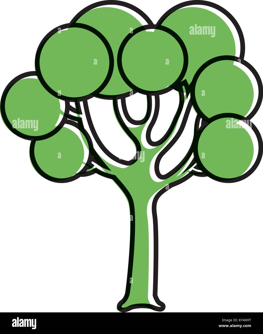 Tree Trunk Shapes High Resolution Stock Photography and Images - Alamy