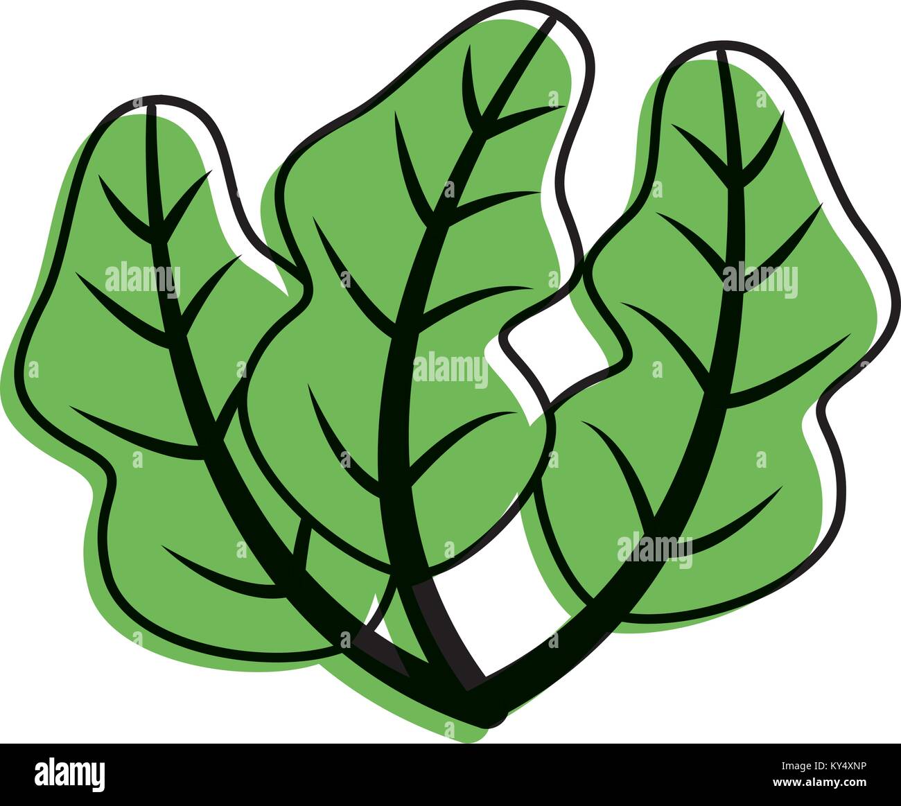 spinach food healthy fresh image Stock Vector Image & Art - Alamy