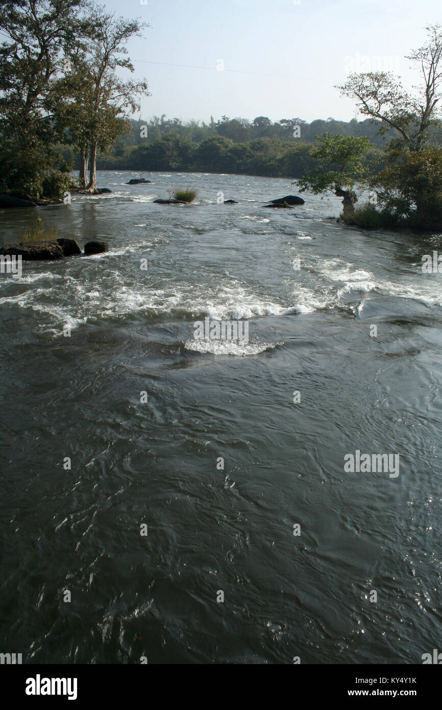 Kali River near Dandeli, Karnataka, India in floods Stock Photo - Alamy