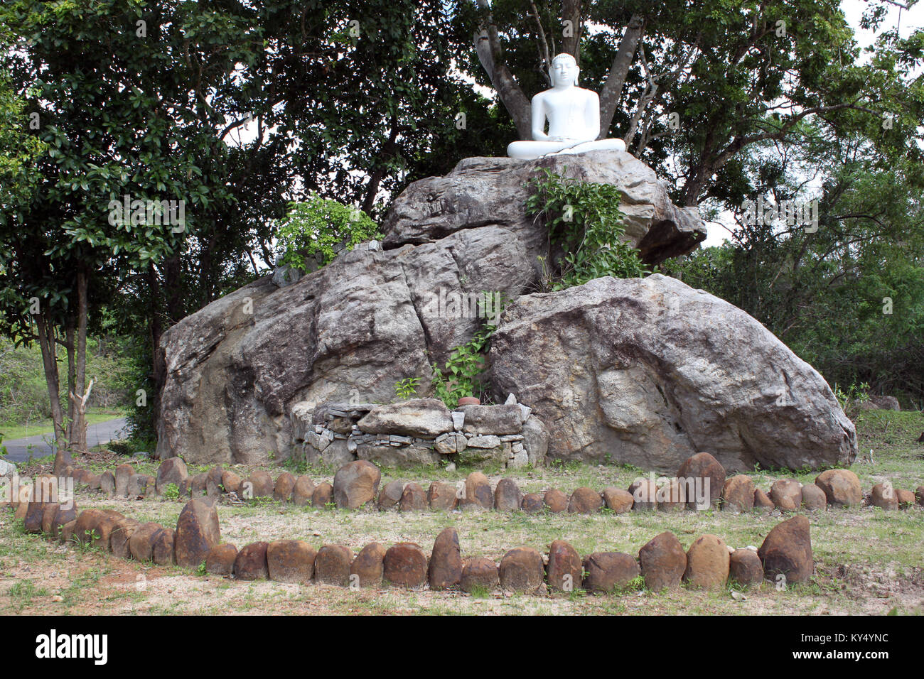 Buddha under tree hi-res stock photography and images - Alamy