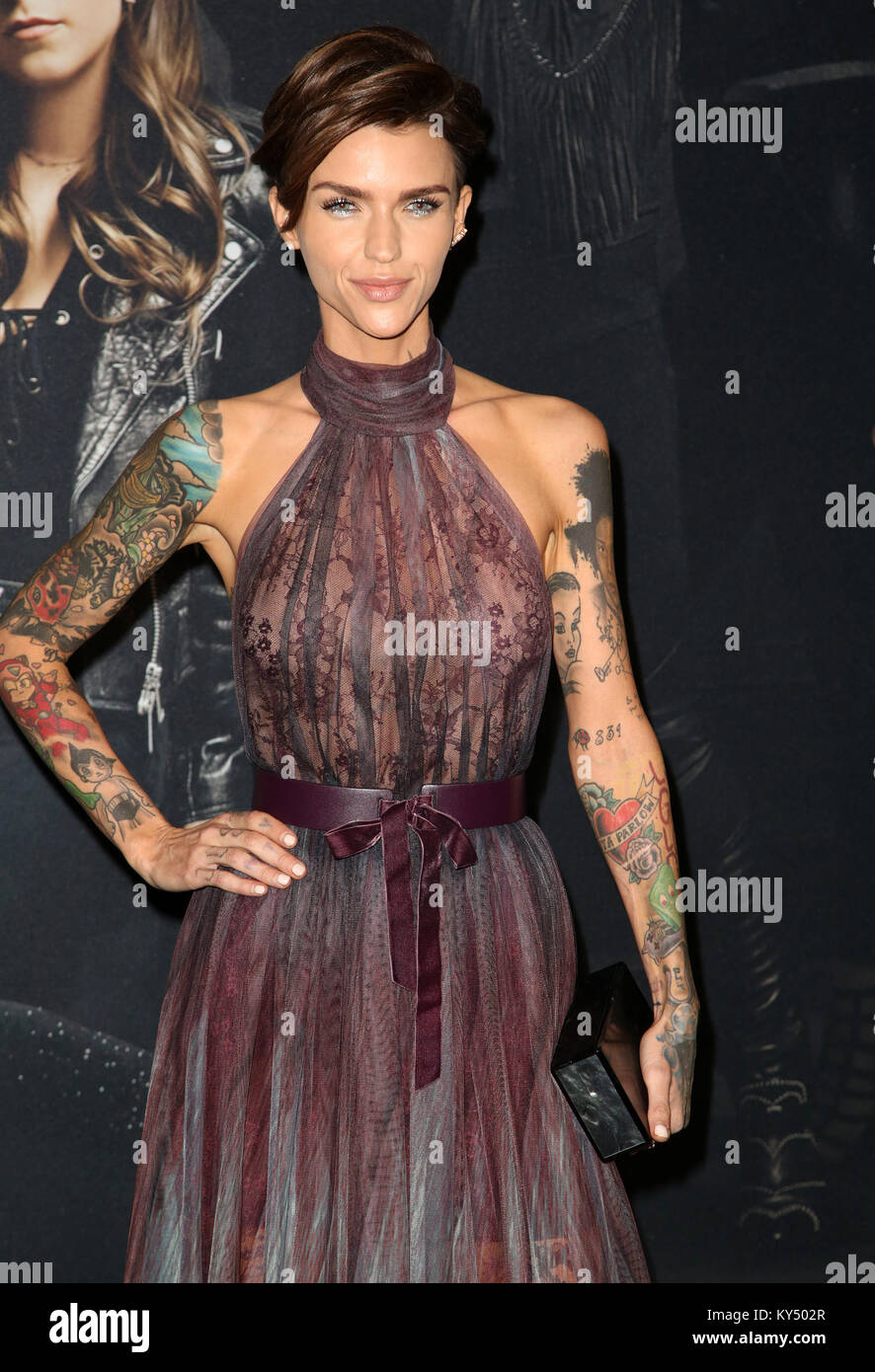 Celebrities attend 'Pitch Perfect 3' film premiere at Dolby Theatre in ...