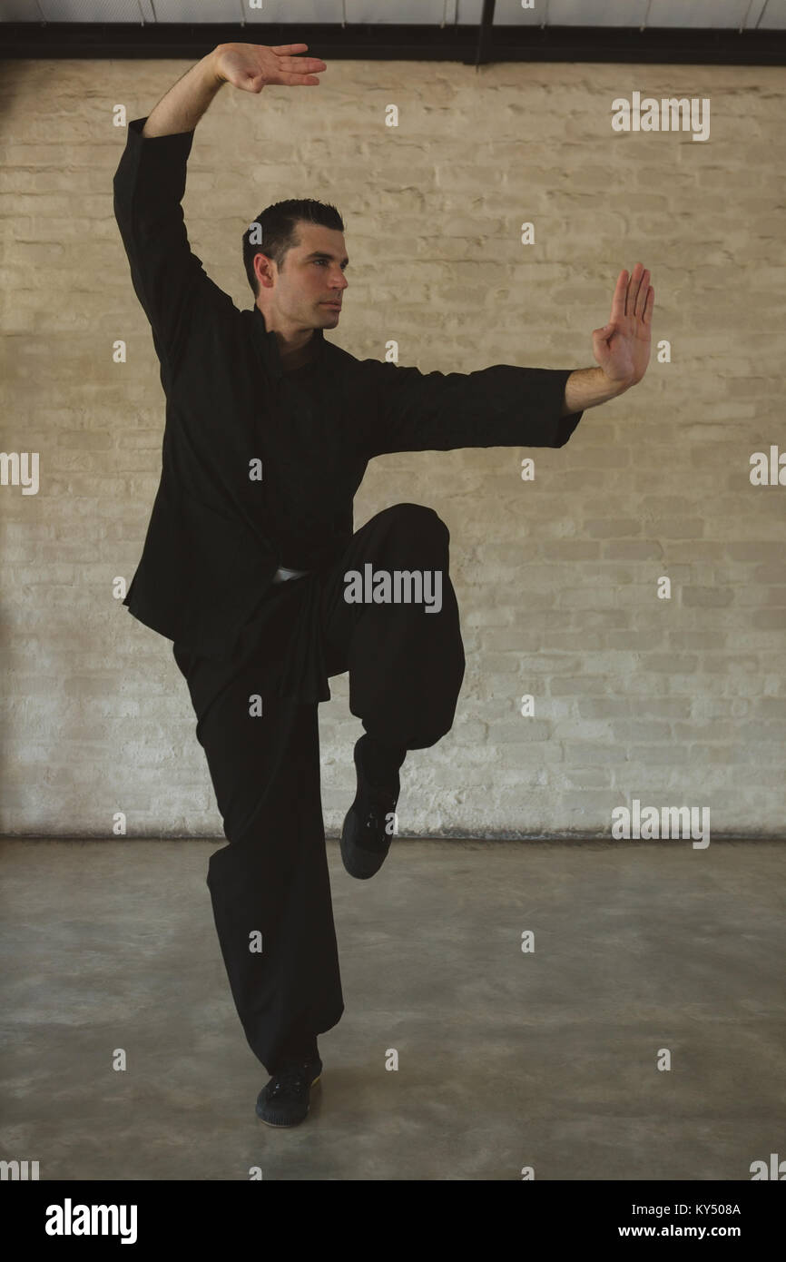 Kung fu fighter practicing martial arts Stock Photo - Alamy