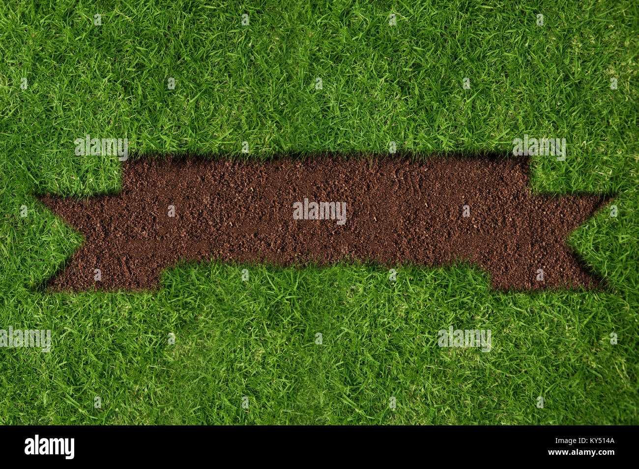 Grass earth hi-res stock photography and images - Alamy