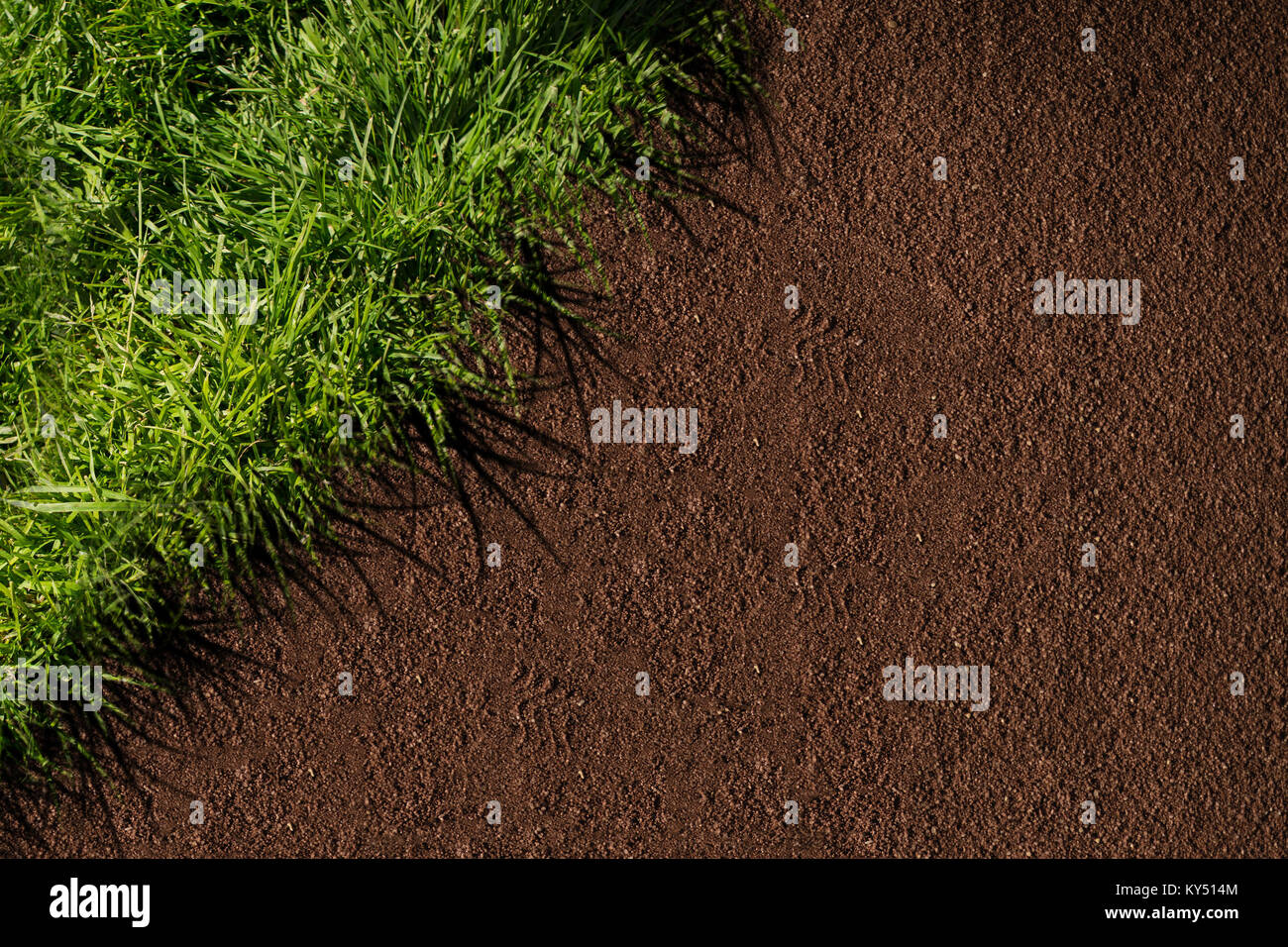 Grass earth hi-res stock photography and images - Alamy