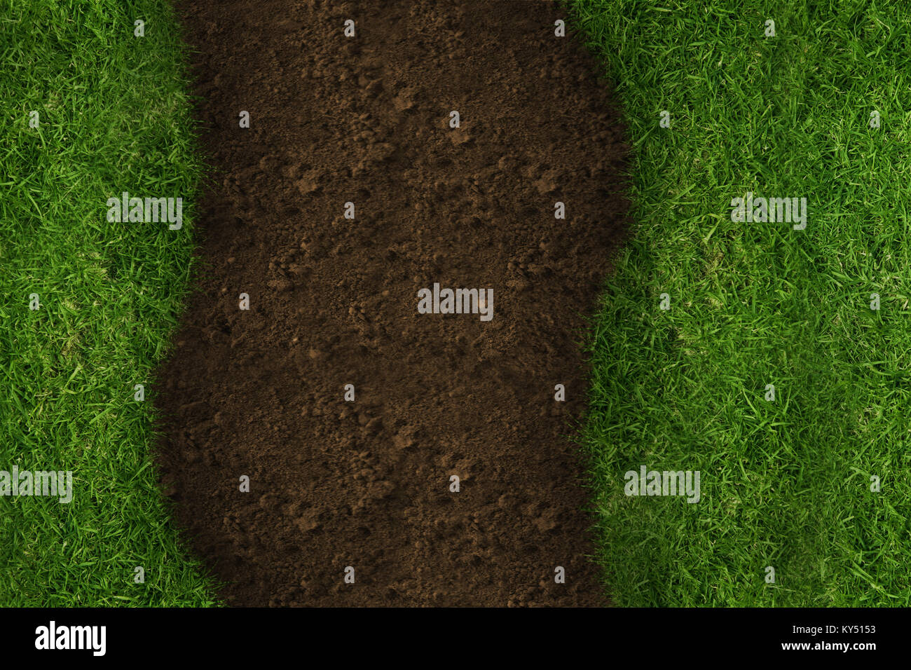 Vertical line crossing grass Stock Photo - Alamy