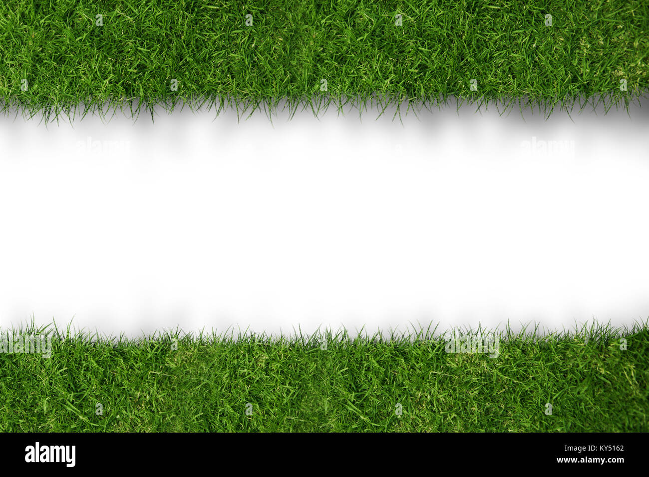 grass with white line Stock Photo - Alamy