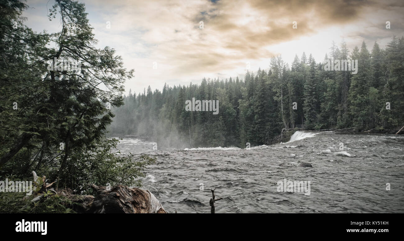 Cool river in forest Stock Photo - Alamy