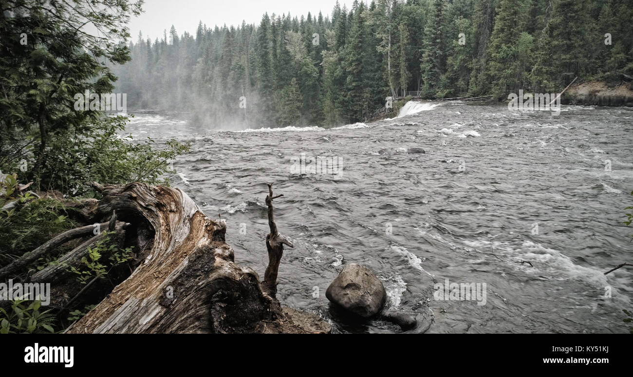 Violent river in forest then waterfall Stock Photo - Alamy