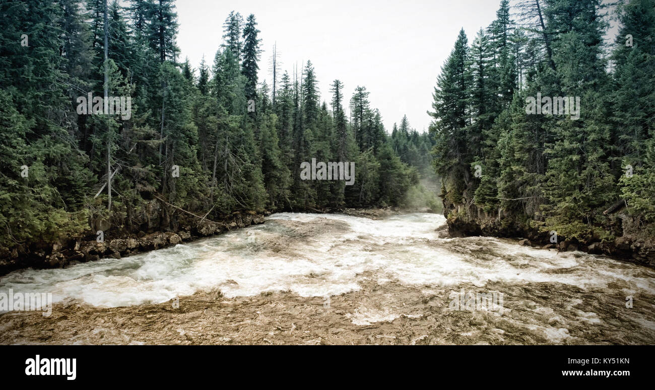Speed river in forest Stock Photo - Alamy