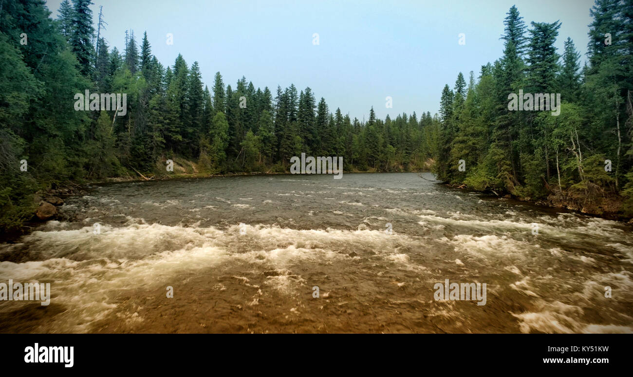 Wide river in forest Stock Photo - Alamy