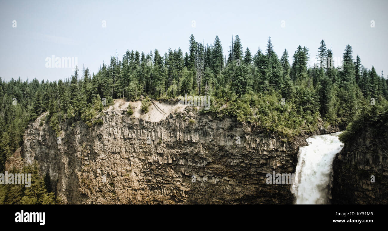 Forest on a rock with waterfall Stock Photo - Alamy