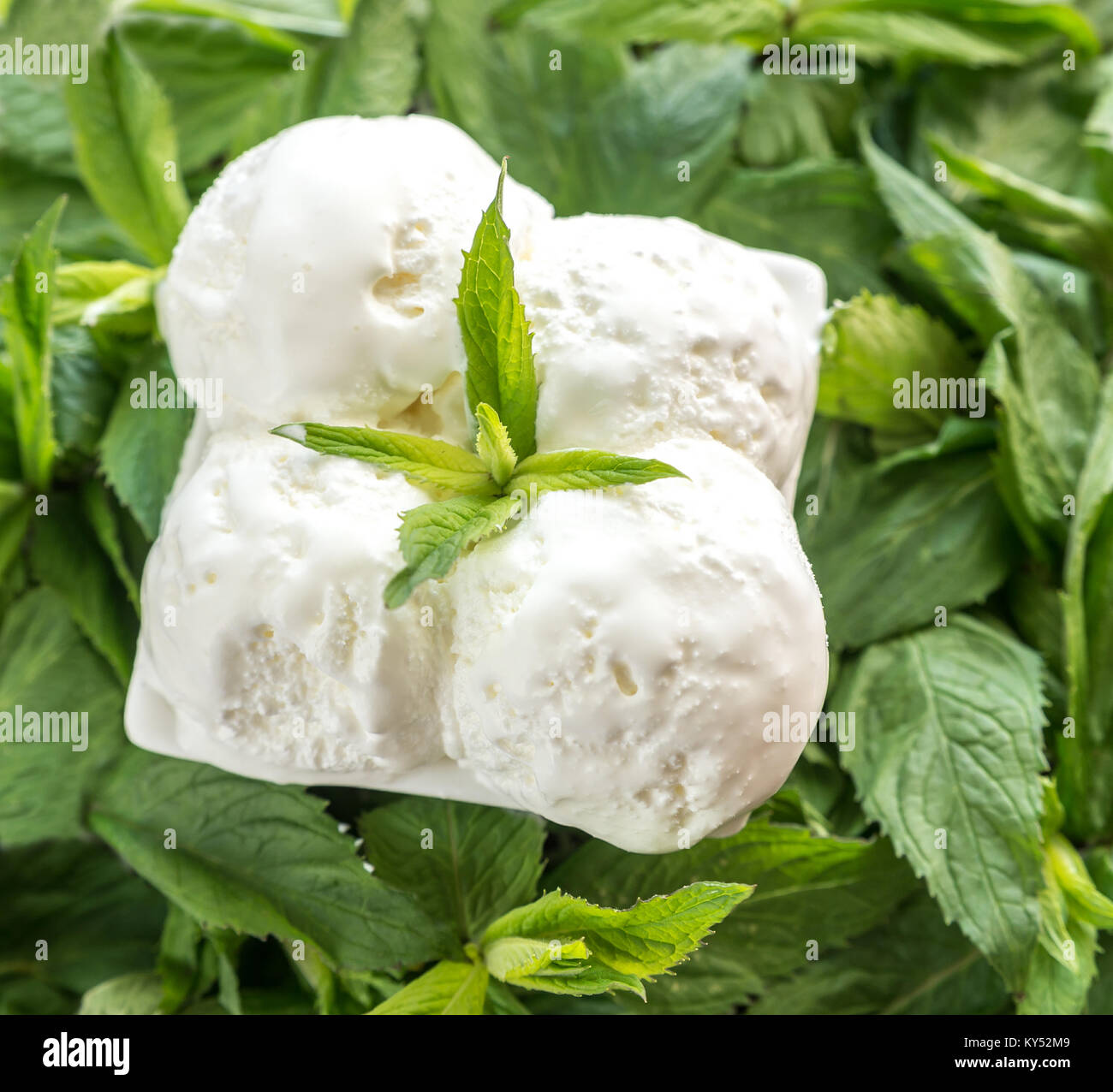 Vanilla ice cream in mint Stock Photo - Alamy