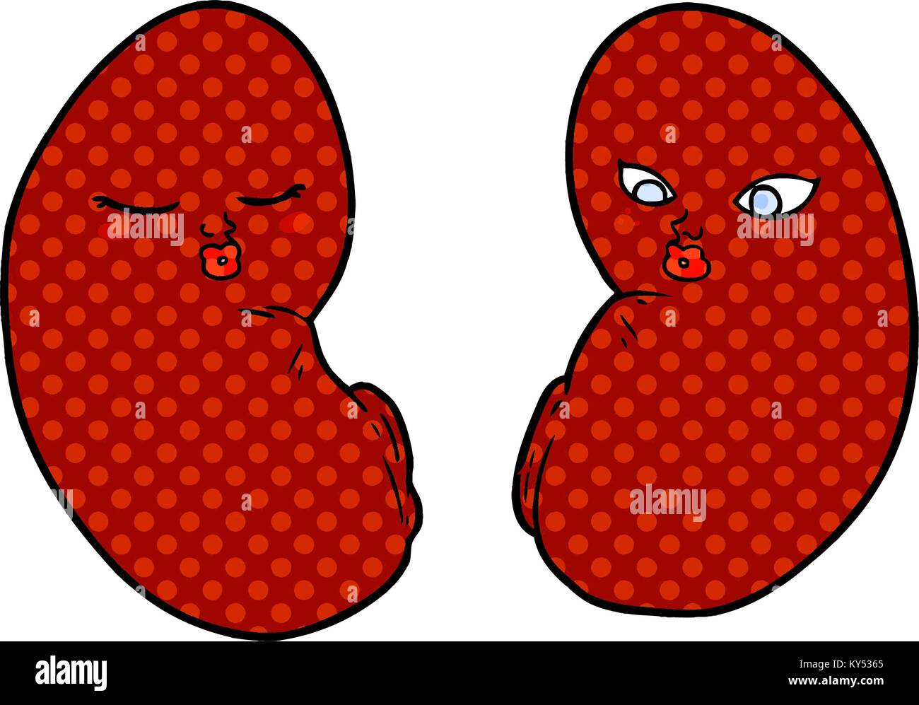 Kidneys artwork Stock Vector Images - Alamy