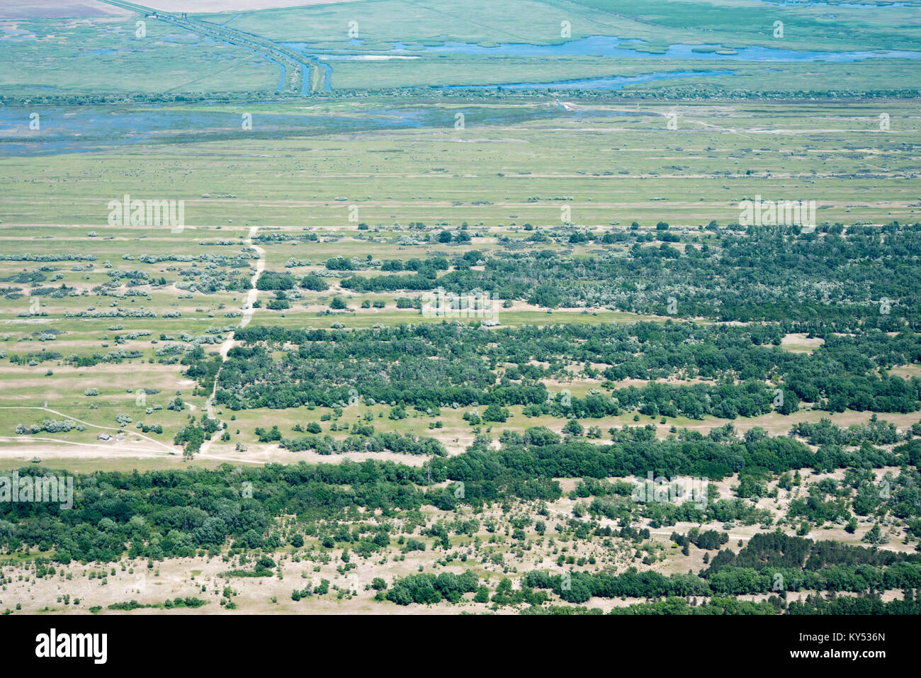 Aerial View Over Letea Forest in the Danube Delta, Romania, the forest ...