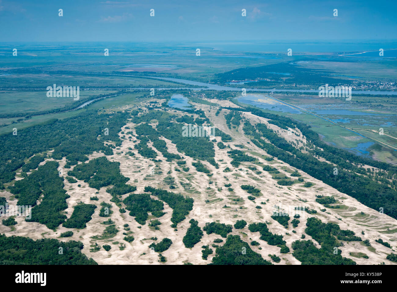 Aerial View Over Letea Forest in the Danube Delta, Romania, the forest ...