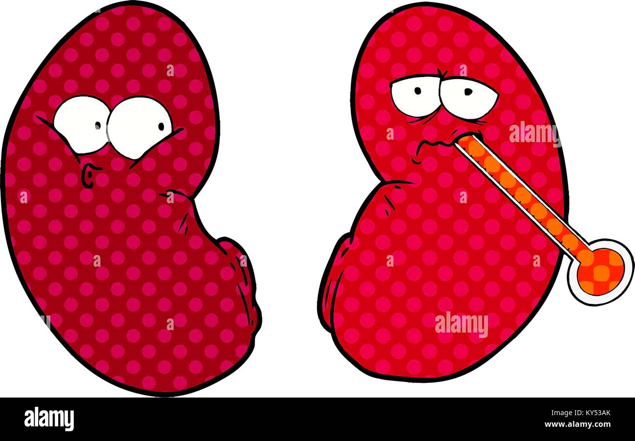 cartoon unhealthy kidney Stock Vector Image & Art - Alamy